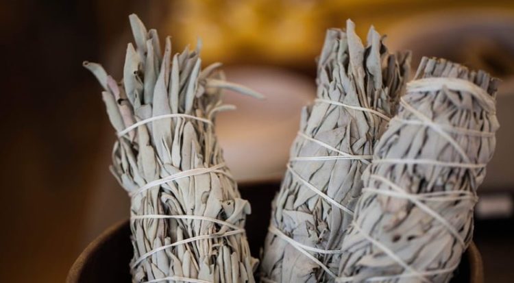 Introduction To Smudge Sticks - Snug Scent