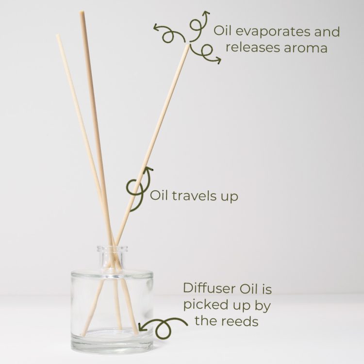 Learn About Different Reed Diffuser Types For Your Home
