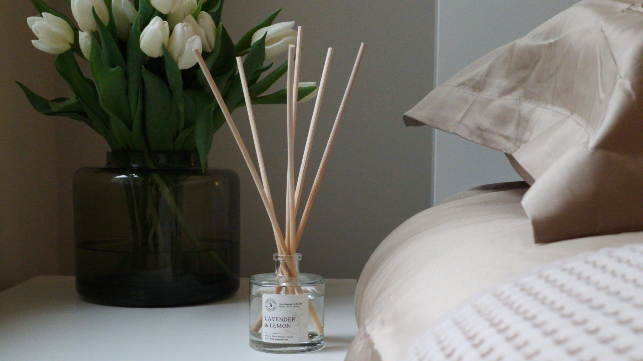 Essential Oils And Pets: A Useful Guide To Safety - Snug Scent